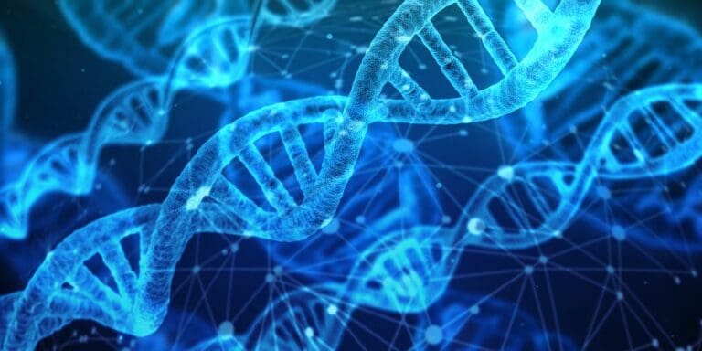 Science Revision Resources - Bluecoat Wollaton Academy